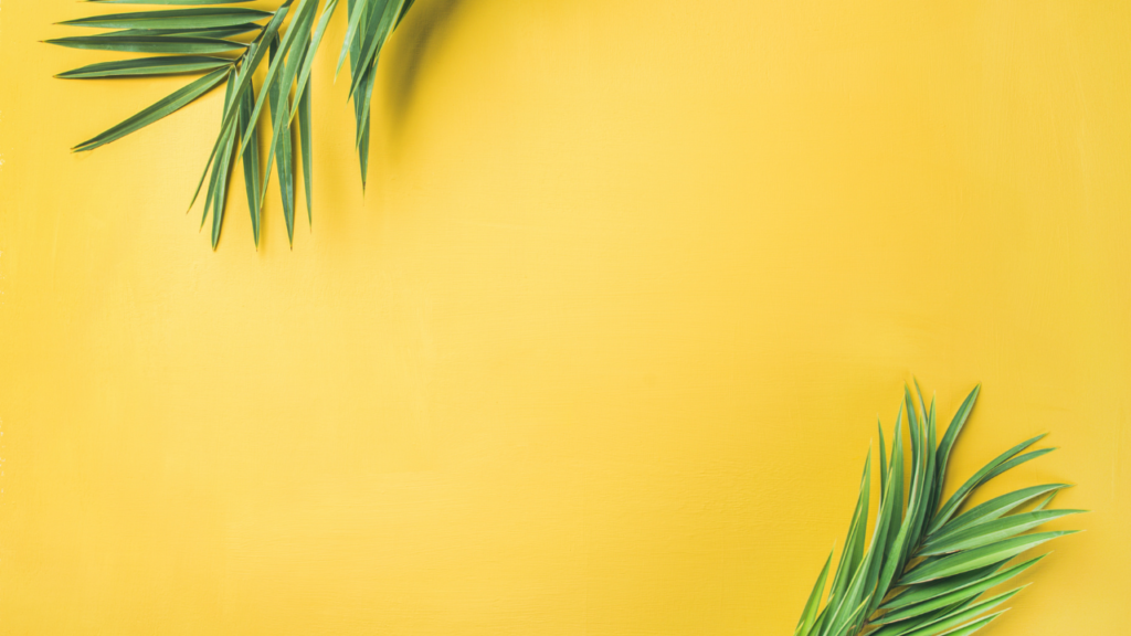 plain yellow background | Army Market